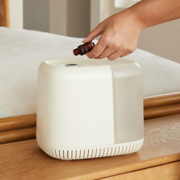 The Canopy Humidifier Transformed My Dry Skin - Good Gear
