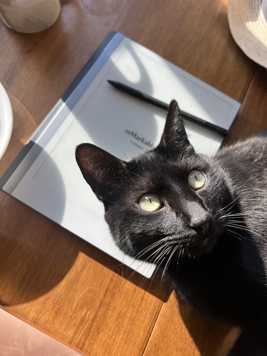 We Review The reMarkable Digital Notebook (2025) - Good Gear